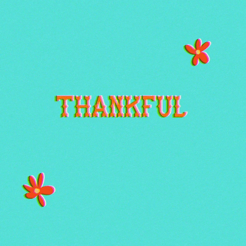 Thanksgiving Greeting GIFs - Get the best GIF on GIPHY