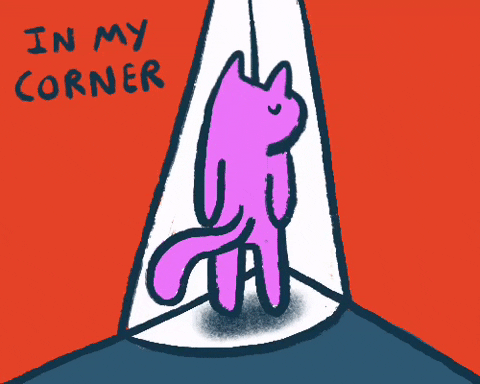 Kitty Corner GIFs - Get the best GIF on GIPHY