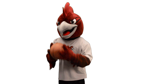 Basketball Mascot Sticker by Ramapo College of New Jersey for iOS ...
