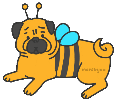 Pug Sticker for iOS & Android | GIPHY
