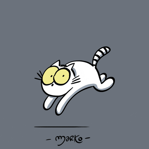 Cat Go GIF by marko - Find & Share on GIPHY