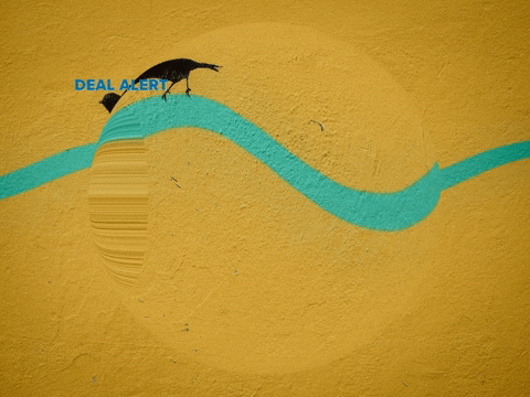 Direktvertrieb GIFs - Get the best GIF on GIPHY