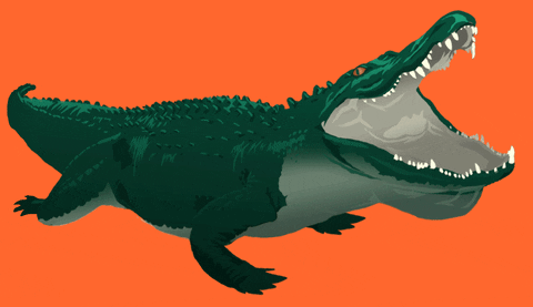 Gator-griddy GIFs - Get the best GIF on GIPHY