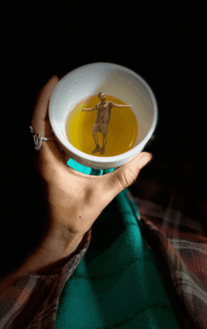 Forgotten Forest GIFs on GIPHY - Be Animated