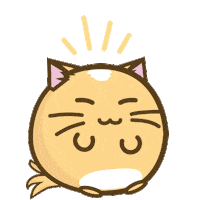 Excited Cat Animated Gif