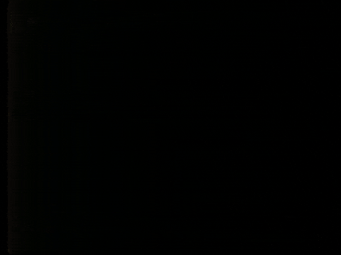 Big-red-gum GIFs - Get the best GIF on GIPHY