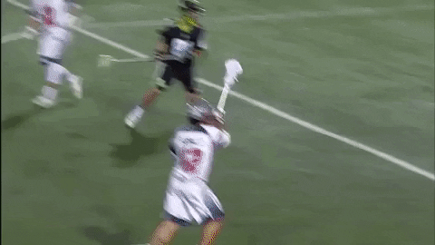 Lacrosse Gif