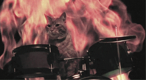 Cat Flame GIFs - Get the best GIF on GIPHY