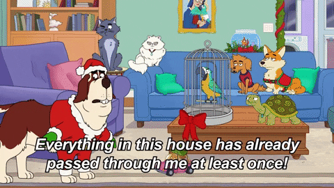 A House That Has Everything GIFs - Get the best GIF on GIPHY