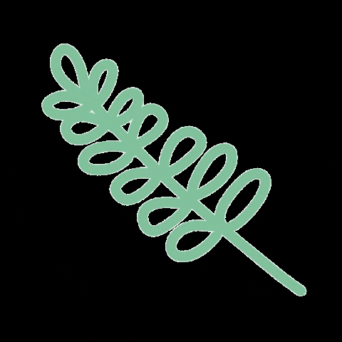 Plant Leaf GIF - Find & Share on GIPHY