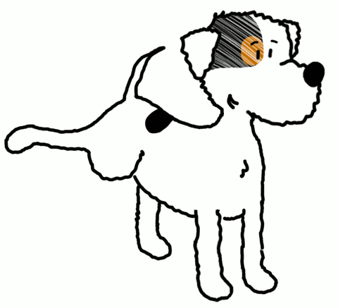 Piddle GIFs - Get the best GIF on GIPHY