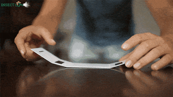 Pest Control GIFs - Find & Share on GIPHY