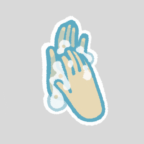Wash Your Hands GIF - Find & Share on GIPHY