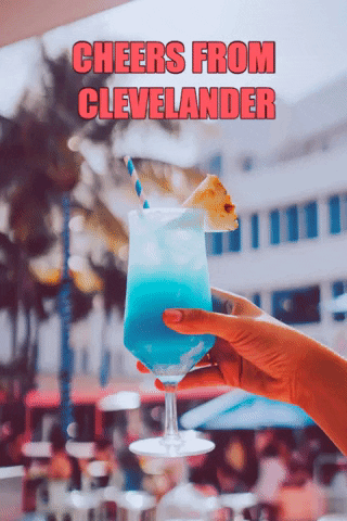 Miami Beach GIF by Clevelander - Find & Share on GIPHY