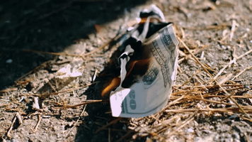 What The Price GIFs on GIPHY - Be Animated