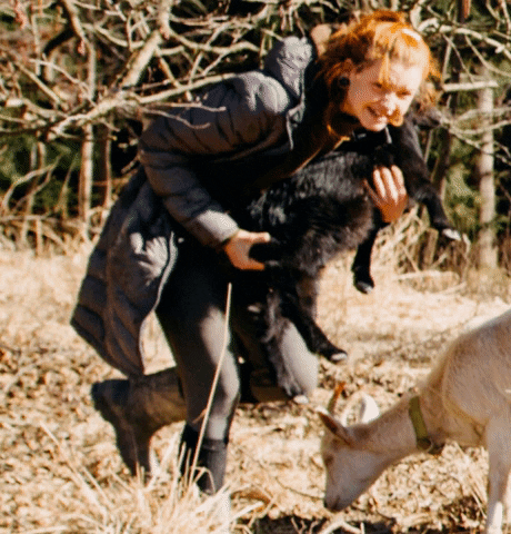 Vegan Pig GIF by život na louce - Find & Share on GIPHY