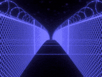 Purple-and-pink GIFs - Get the best GIF on GIPHY