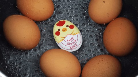 Egg Recipe GIFs - Get the best GIF on GIPHY