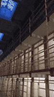 Prison-cell GIFs - Get the best GIF on GIPHY