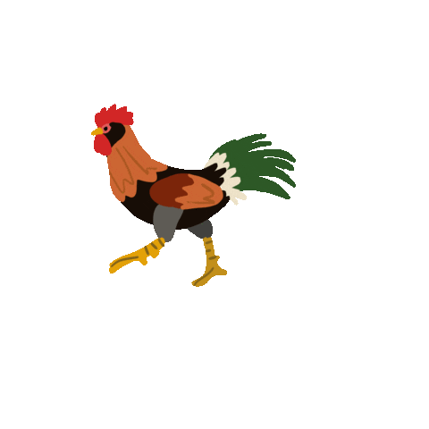Farm Animals Chicken Sticker for iOS & Android | GIPHY