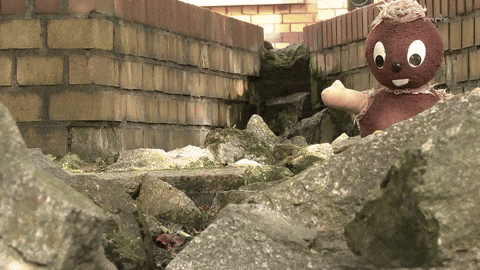 East Germany GIFs - Get the best GIF on GIPHY
