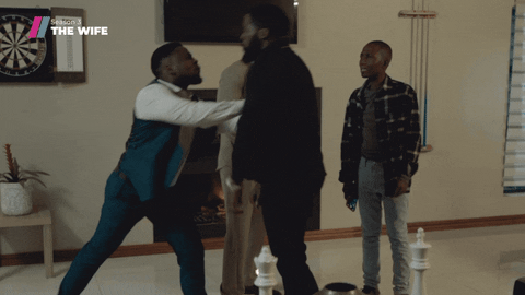Brothers Fighting GIF by Showmax - Find & Share on GIPHY