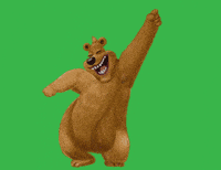 Excited Bear Gif