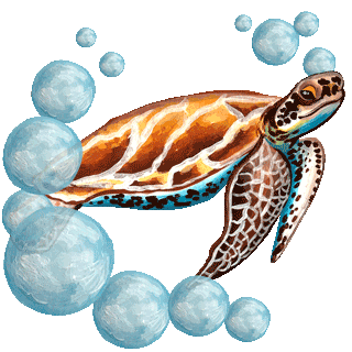 Sea Turtle GIFs for #WorldSeaTurtleDay! by NRDC | GIPHY