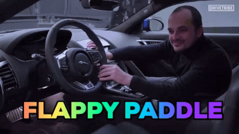 Flappy Paddle GIFs - Get the best GIF on GIPHY