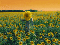 Animated Dancing Flowers Gif