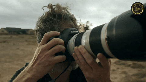 Amazing-photography GIFs - Get the best GIF on GIPHY