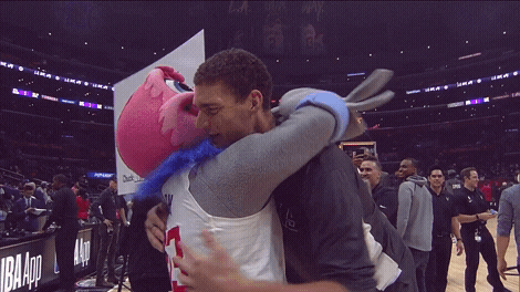 Robin-mascot-fight GIFs - Get the best GIF on GIPHY