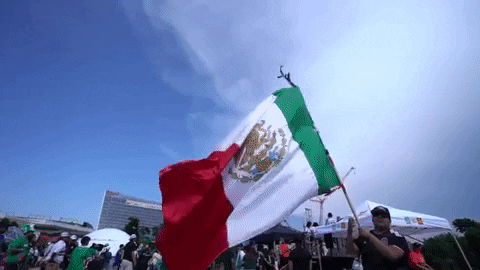 Mi-seleccion-mexico GIFs - Get the best GIF on GIPHY