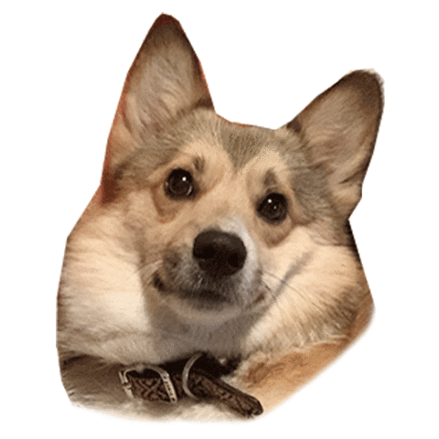 Annbells GIFs on GIPHY - Be Animated