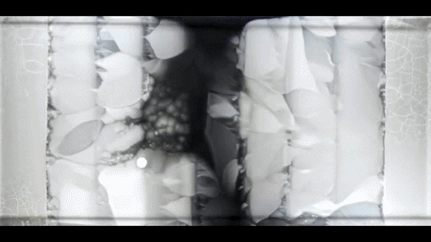 Antibacteria GIFs - Get the best GIF on GIPHY