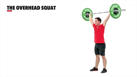 Overhead-squat GIFs - Get the best GIF on GIPHY