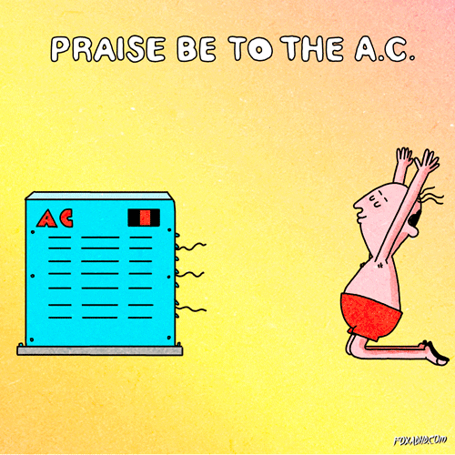 Animation Domination Summer Gif By gif - Find & Share on GIPHY