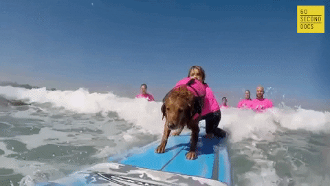 Wave Boarding GIFs - Get the best GIF on GIPHY