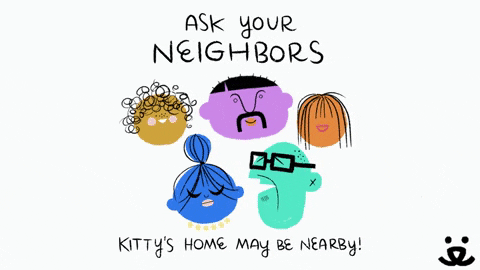 Community Cat Day by Best Friends Animal Society | GIPHY