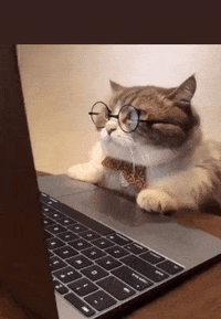 Cat Writing Gif