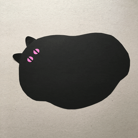 Endless Cat GIFs - Find & Share on GIPHY