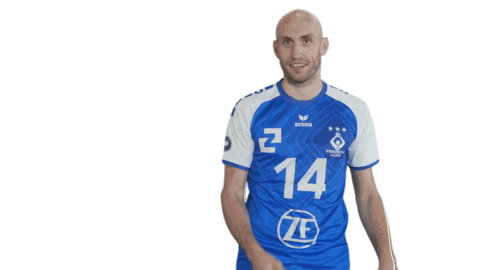 vfb_volleyball GIFs on GIPHY - Be Animated