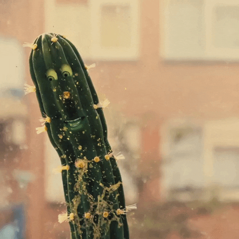 Plant GIF by VPRO - Find & Share on GIPHY
