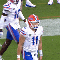 Gator Chomp Gif