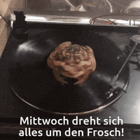 Gif Mit Dem Mittelfinger Mittelfinger GIFs | Tenor