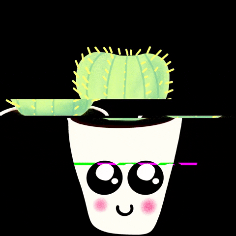 Cactus GIF - Find & Share on GIPHY