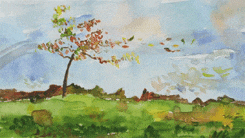 Trees Wind Windy GIFs - Get the best GIF on GIPHY