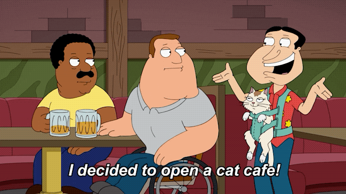 Cat Cafes GIFs - Get the best GIF on GIPHY