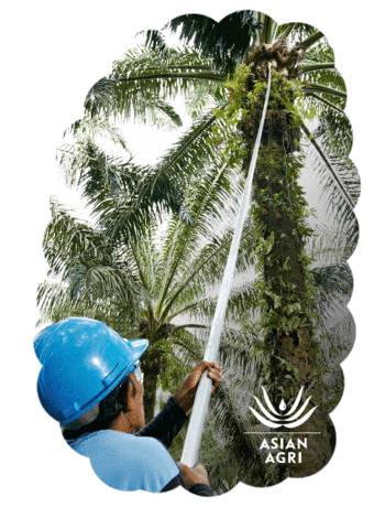 Asian Agri GIFs on GIPHY - Be Animated