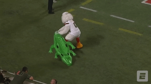 Ibis-vtech GIFs - Get the best GIF on GIPHY